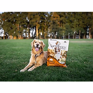 Earthborn Holistic Great Plains Feast Grain-Free Natural Dry Dog Food, 12.5 lb