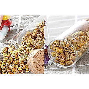 10PCS Empty Glass Clear Test Tube Message Bottles Vials Jars Packing Container with Wood Cork Stoppers for Scientific Experiments Tea Powder Liquid Storage Dispenser(40ml-30mmx80mm)