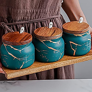 JFFLYIT 3 pcs round porcelain condiment jars set sugar bowl ceramic spice jars marble ceramic seasoning coffee and sugar canister set with bamboo wood lid wood tray and ceramic spoon（Green）