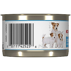 Royal Canin Size Health Nutrition Starter Mother & Babydog Mousse in Sauce Wet Dog Food, 5.8 oz Can (Case of 24)