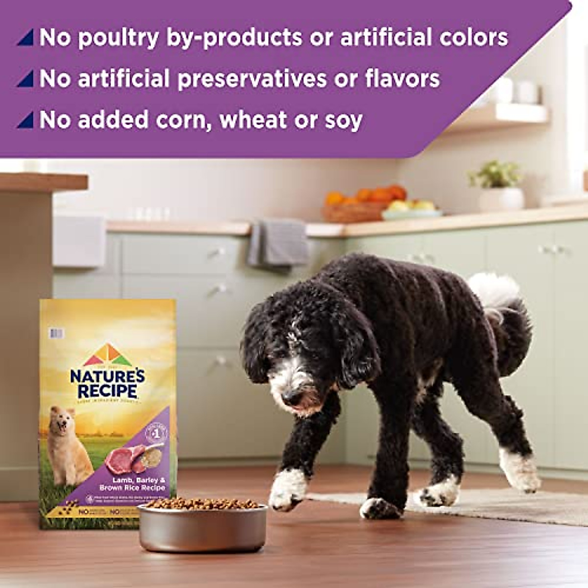 Nature’s Recipe Original Dry Dog Food for Adult Dogs, Lamb & Rice Recipe, 24 lb Bag