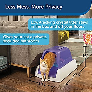 PetSafe ScoopFree Self-Cleaning Cat Litter Box Privacy Hood, Purple