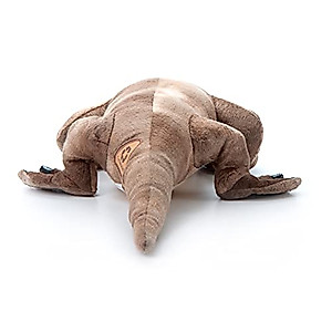 The Petting Zoo Komodo Dragon Stuffed Animal, Gifts for Kids, Wild Onez Zoo Animals, Komodo Dragon Plush Toy 20 inches
