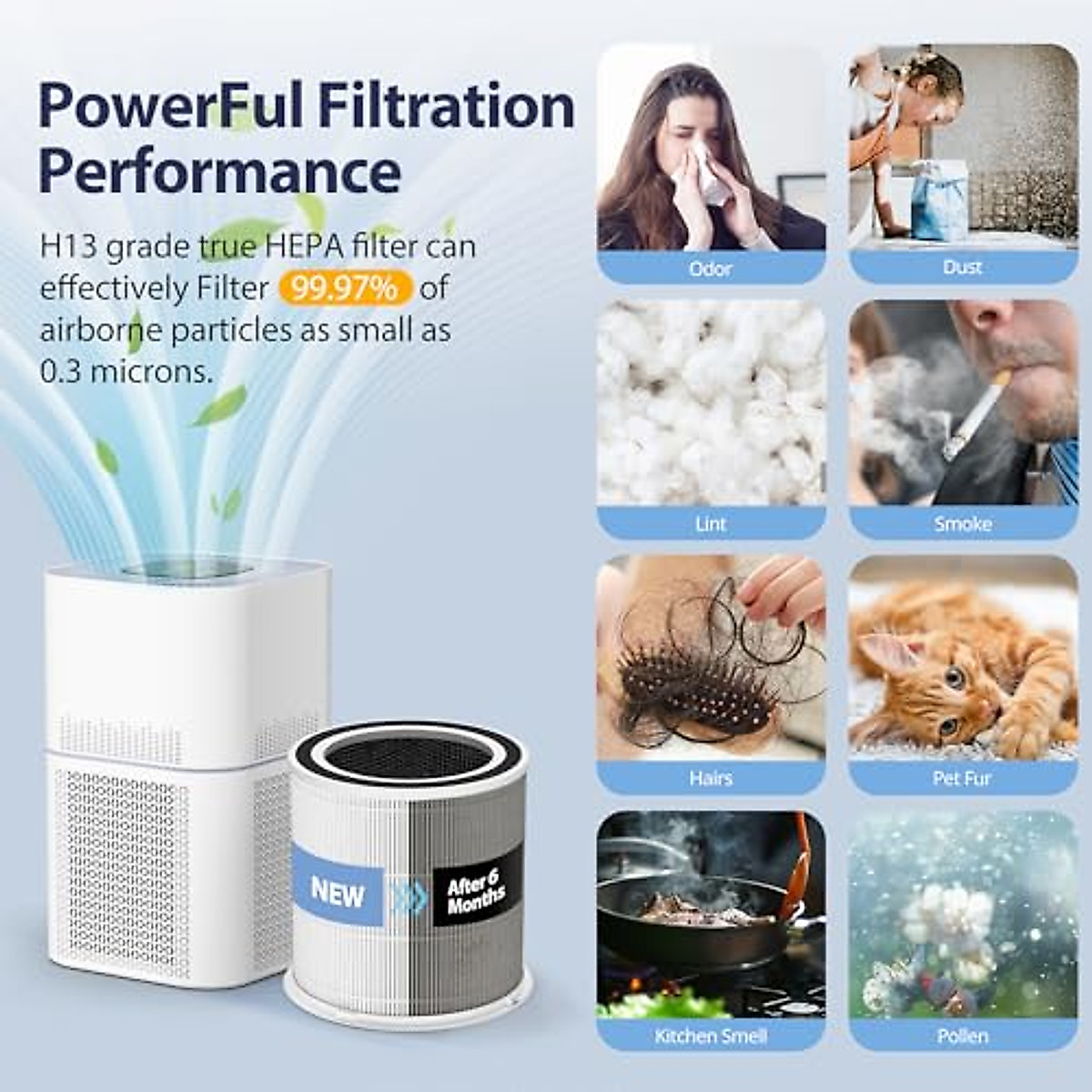 AP301 Replacement Filter, Compatible with Dayette AP301 AP302 and JOWSET AP301 AP302 AP303 and AIRJOWSET AP304 Air Purifier, H13 True HEPA Filter, NOT FOR AP401 AP402 AP403 AP404 Air Purifier