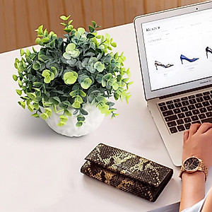 Hopewood Fake Plants Indoor Small Artificial Eucalyptus Plants in White Pots for Bedroom Home Decor Faux Plants Decor