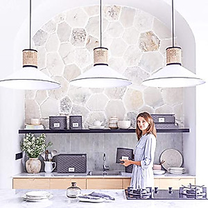 Bulb & Shade 12" Dinner Plate Storage Case - Quilted Plate Storage Containers - Padded Protectors to Store and Transport Your Fine China Dinnerware Dishes - Thick Felt Dividers Included