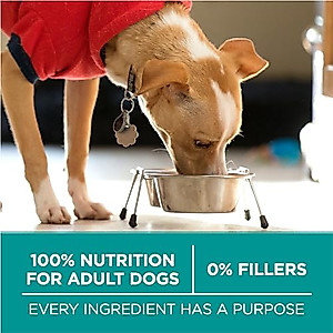 Purina One Plus Digestive Health Formula Dry Dog Food Natural with Added Vitamins, Minerals and Nutrients - (Pack of 4) 8 lb. Bags