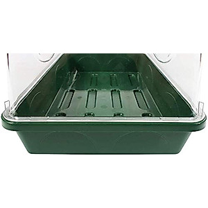 EarlyGrow Medium Seed and Herb Domed Propagator with Vented Side Height Extension and Security Clip Set,Green