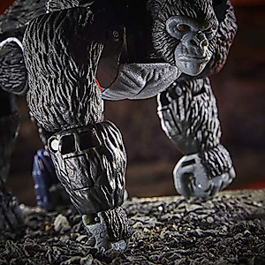 Transformers Toys Generations War for Cybertron: Kingdom Voyager WFC-K8 Optimus Primal Action Figure - Kids Ages 8 and Up, 7-inch