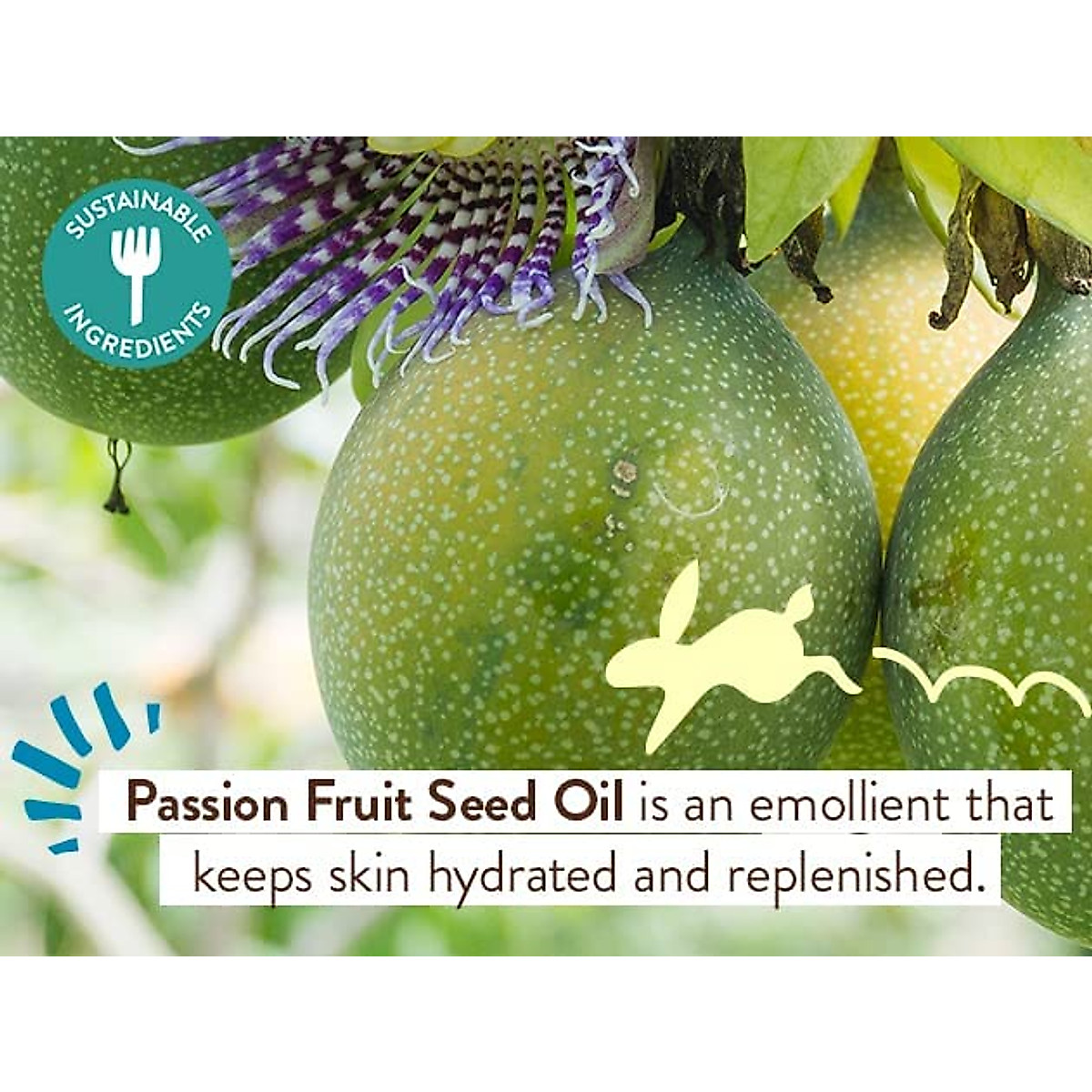 Babo Botanicals Daily Sheer Tinted Mineral Sunscreen Fluid SPF50 - Natural Zinc Oxide - Passion Fruit Oil - Golden-Hued Tint - Fragrance Free - Ultra-Lightweight - For Face - For all ages