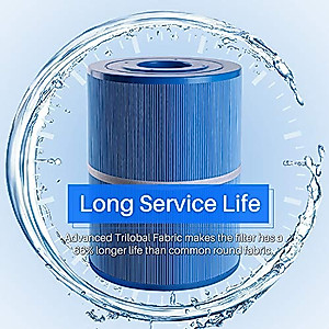 POOLPURE Antimicrobial PLFC-8465-M Spa Filter Replaces Watkins 31114, Compatible Unicel C-8465RA, Pleatco PWK65-M, Filbur FC-3960M, 71827, 71828, 65 sq. ft Hot Spring Spa Filter 1PACK