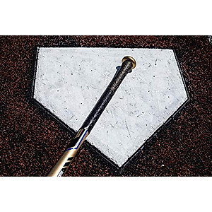 Rawlings 2019 Velo BBCOR Adult Baseball Bat (-3), 32 inch / 29 oz