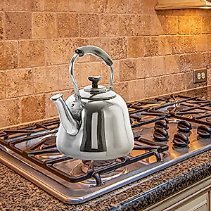 STOBAZA Whistling Tea kettle for Stove Top, Whistling Stovetop Teapot with Infuser, Gooseneck Pour Over Coffee Kettle, Food Grade Stainless Steel Teakettle Tea Pot, Water Boiler, 3L