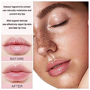 6 Pcs Fruit Flavored Lip Balm for Lip Care on Chafed,Chapped or Dry Cracked Lips. Lip Balms Moisturizs Care Holiday Gift, Natural Lip Balm Chapstick Set, Lip Balm with Spf for Girls or Mens Lip Balm