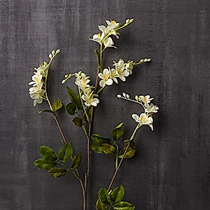 Ashland Michaels Bulk 12 Pack: Cream Vinca Spray