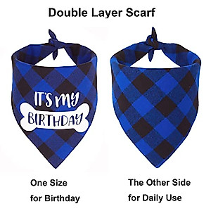 PTDECOR Dog Birthday Party Supplies, Plaid Boy Dog Birthday Hat with Numbers It's My Birthday Dog Puppy Birthday Bandana with Bow Set (Blue)