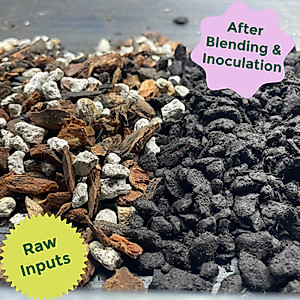 Cactus and Succulent Organic Potting Soil Mix for House Plants - Fast Draining, Root Boosting, Peat-Free Soil for Drought Tolerant Growth of Aloe Vera, Cacti and Indoor Succulents Plants - 4 qt