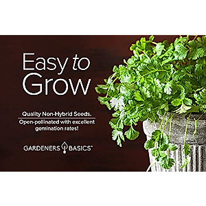 Cilantro Seeds for Planting Heirloom Non-GMO Herb Coriander Plant Seeds for Home Herb Garden Vegetables Makes a Great Gift for Gardening by Gardeners Basics