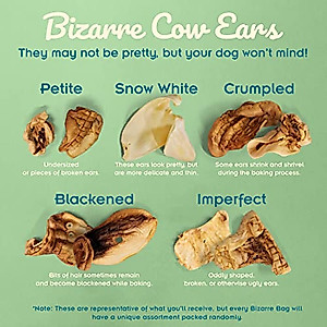 Pawstruck Natural Bizarre Cow Ears for Dogs, 1.5 lb Rawhide Free Bargain Bag, Low Fat and High Protein Dental Chews for All Breeds, Digestible Beef Treats, Calming Treat Dog Chews