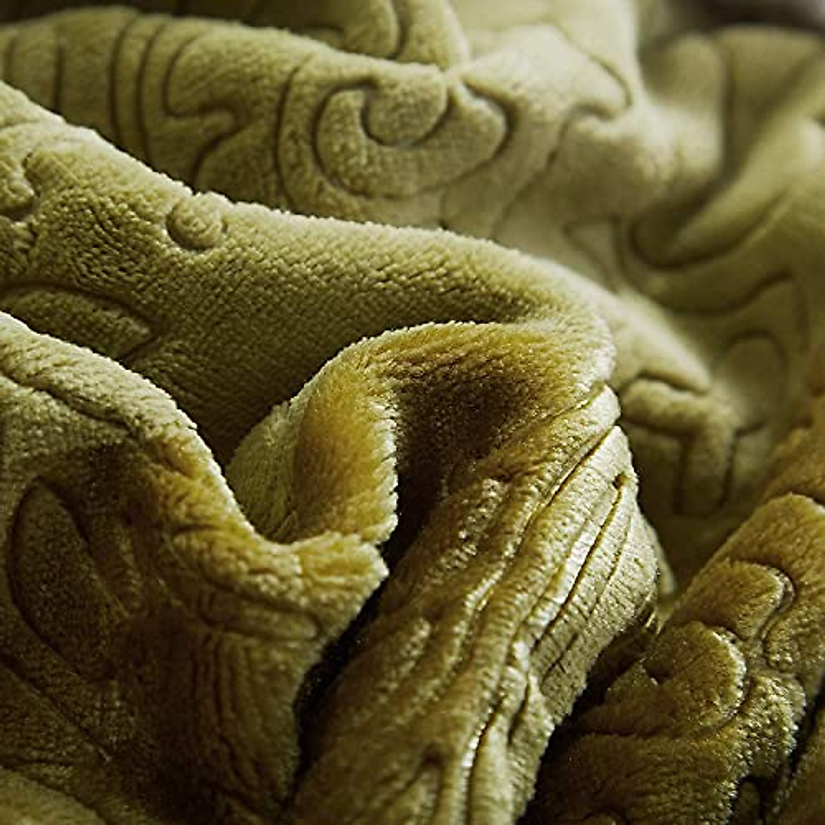 Tache Green Sherpa Throw Blanket - Earth Day - Embossed Plush Cozy Comfy Cuddly Fluffy Light Olive Lime Green Luxury Durable Super Soft Warm Decorative Flannel for Couch and Sofa - 50X60 Inch