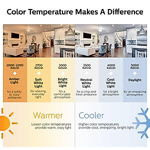 PHILIPS 554600 LED 16.6w (100w Equivalent) A21 Non-Dimmable Light Bulb - Daylight - 1500 Lumens - E26 Medium Base (8 Bulbs)