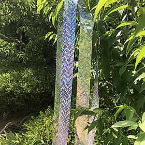 Bird Scare Ribbon Double Sided Holographic Reflective Ribbon Tape to Keep Away Woodpecker, Pigeon, Hawks, Grackles Bird (0.9in x 260ft)