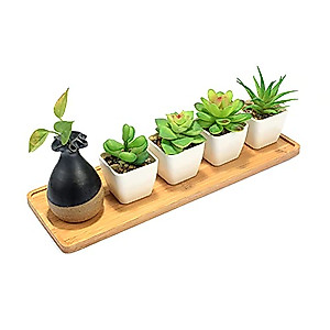 YCDC Mini Rectangular Bamboo Tray, 12x4x0.39 Inch, Suitable for Decor, Planters, and Drainage