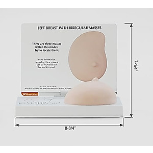 GPI Anatomicals - Human Anatomy Model of Left Breast with Irregular Masses, Replica for Anatomy and Physiology Education, Anatomy Model for Doctor's Office and Classrooms, Medical Study Supplies