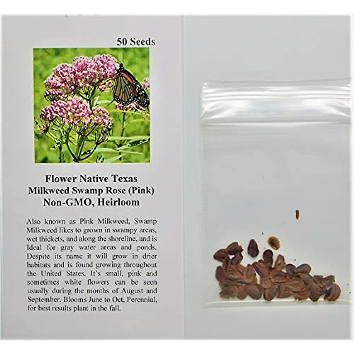 David's Garden Seeds Flower Native Texas Milkweed Swamp Rose 4523 (Pink) 50 Non-GMO, Heirloom Seeds