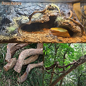 Reptile Decor Natural Forest Branch Terrarium Habitat Driftwood Decoration Lizard Climbing Tree Branch for Bearded Dragon Gecko Snake Frog Chameleon Spider 4PCS