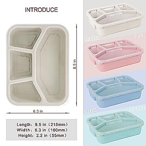 Meal Prep Container Microwave Safe, 4 Pack Bento Lunch Box, 4-Compartment Snack Container for School Work Travel, Lunch Containers for Adults, Bento Box for Kids, Reusable Dishwasher Safe