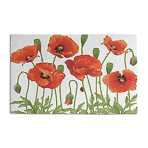 Lunarable Flower Doormat, Spring Wild Flower Poppy Ladybug Leaf Springtime Garden Nature Backyard Print, Decorative Polyester Floor Mat with Non-Skid Backing, 30" X 18", Orange Green