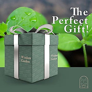 Window Garden Kit Cat Grass for Indoor Cats (3 Pack) - Easy to Grow Kitty Grass Kit, The Purr-FECT Catnip Growing Kit with Planter, Plant Kit Includes Organic Non GMO Wheatgrass Seed and Fiber Soil.