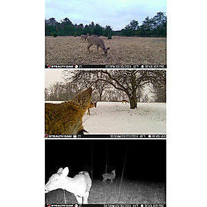 Stealth Cam Revolver PRO 40MP Photo 1440P at 30 FPS QHD Video 0.4 Sec Trigger Speed 360-Degree Panoramic View Built-in GPS Hunting Cellular Trail Camera