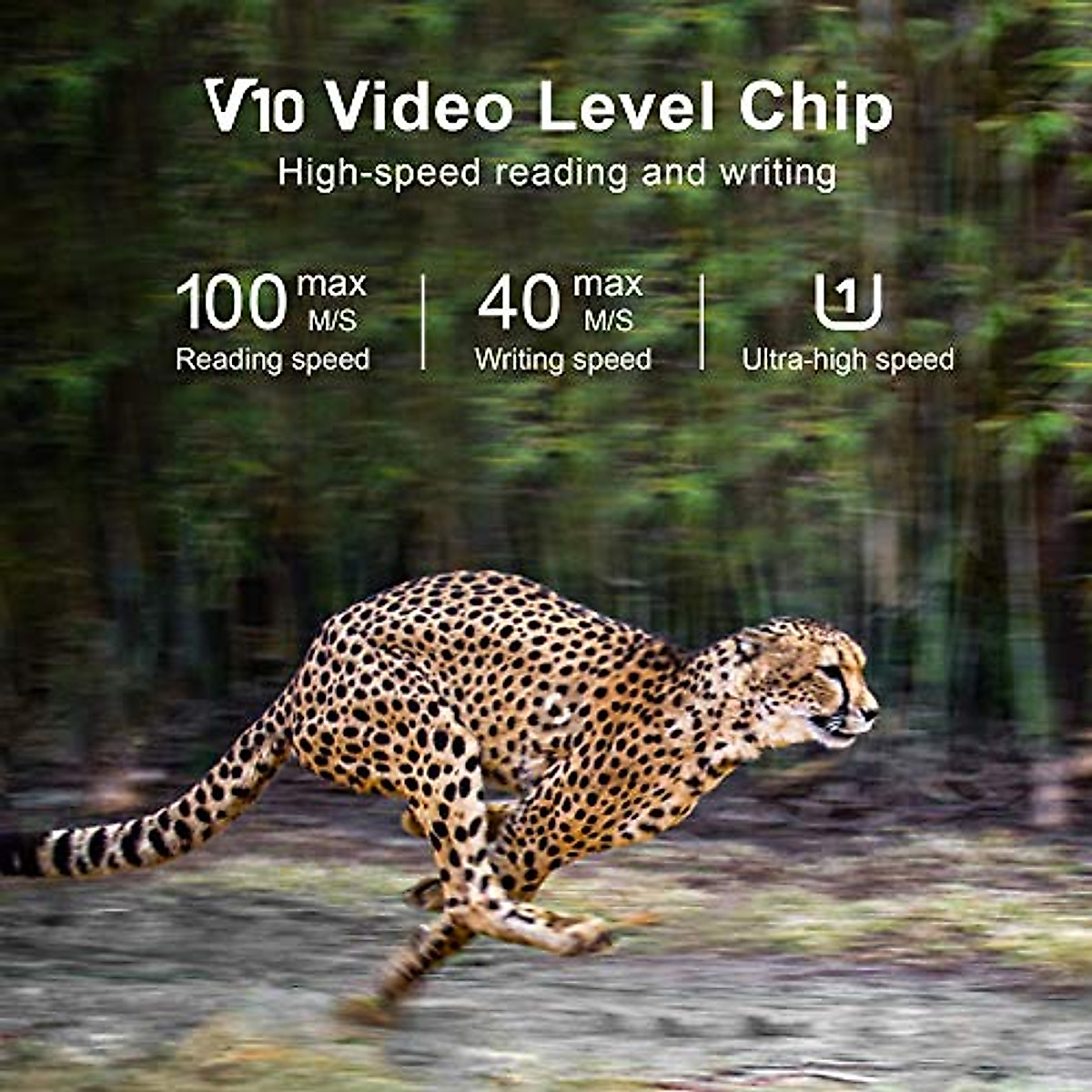 LaView 64GB Micro SD Card, Micro SDXC UHS-I Memory Card – 100MB/s,667X,U1,C10, FHD Video V10, A1, FAT32, High Speed Flash TF Card P500 for Computer with Adapter/Camera/Phone/Drone/Dash Cam/Tablet/PC