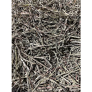 FPS Fox Peak Timothy Hay Rabbits, Guinea Pigs, Chinchilla Food (10+ lb.)