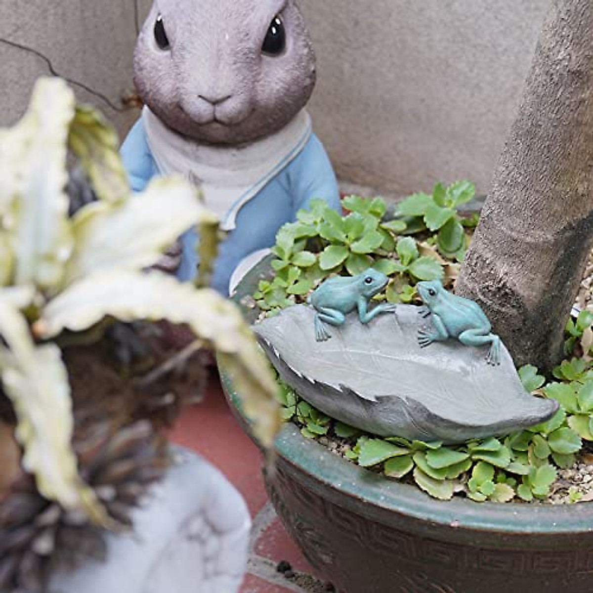 Bird-Feeder Wild Bird-Bath Bowl Outdoors - Garden Decor Polyresin Frogs on Leaf Bird Bath for Yard 12 x 7.25 x 3.5 inch-Newman House Studio