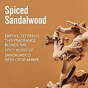 Barrel and Oak - Shampoo & Conditioner Set, Moisturizing Shampoo/Conditioner Set for Men, Fragrant Amber Scent, Made with Hydrating Argan Oil, Certified Organic (Spiced Sandalwood, 16oz)