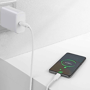 20W Charger Brick Compatible with Amazon Fire 7 Kids Tablets, Fire HD 10, Kindle Fire, iPad Pro Air, Galaxy Tab S10 Plus, OnePlus Pad, Surface Pro 9 - with 5 ft Charging Cable Set