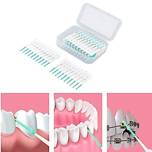 Mumusuki 200pcs Portable Interdental Toothpicks Interdental Brush Soft Silicone Head Floss Toothpick Brush with Case for Oral Care(Mint Green)