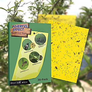 Cheechee 20-Pack Yellow Sticky Traps for Gnats, Fruit Fly Trap for Indoors/Outdoor Flying Plant Insect Killer Like Fungal Gnats, White Flies, Aphids, Leaf Miners - 6x8 in, 20pcs Twist Ties Included