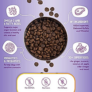 Health Extension Dry Dog Food, Natural Food with Added Vitamins & Minerals, Suitable for All Puppies, Include Buffalo & Whitefish Recipe with Whole Vegetable & Berries (23.5 Pound)