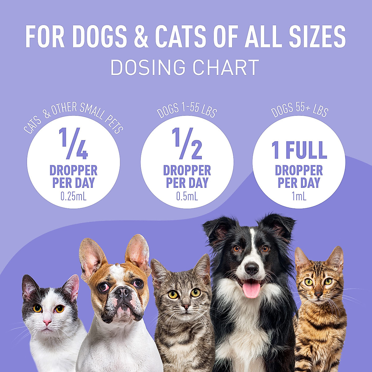Nature's Synergy Melatonin and Hemp Oil for Dogs, Cats & Pets, 2 Pack, Calming Sleep Support, Omega Fatty Acids for Hip and Joint Support, Skin and Coat Health, Stress from Travel, Separation