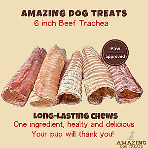 Amazing Dog Treats - 6 Inch Beef Trachea Dog Chews (10 pcs - 16.5 oz) - Trachea Dog Treats - NO Hide - Digestible and Safe Chews for Dogs - Glucosamine and Chondroitin for Joint Health