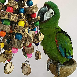 kathson 2PCS Natural Parrot Chewing Toys Wood Bird Toy Hanging Parakeet Hammock Cage Accessories Cuttlebone Beak Grinding for Parrots Cockatoos African Grey Cockatiels Conure Eclectus Budgies