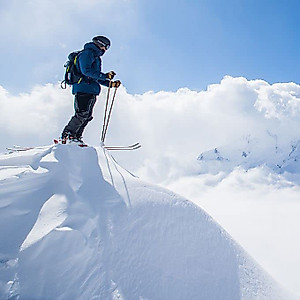 Giro Roam Ski Goggles - Snowboard Goggles for Men, Women & Youth - Red Midnight Podium Strap with Grey Cobalt/Yellow Lenses