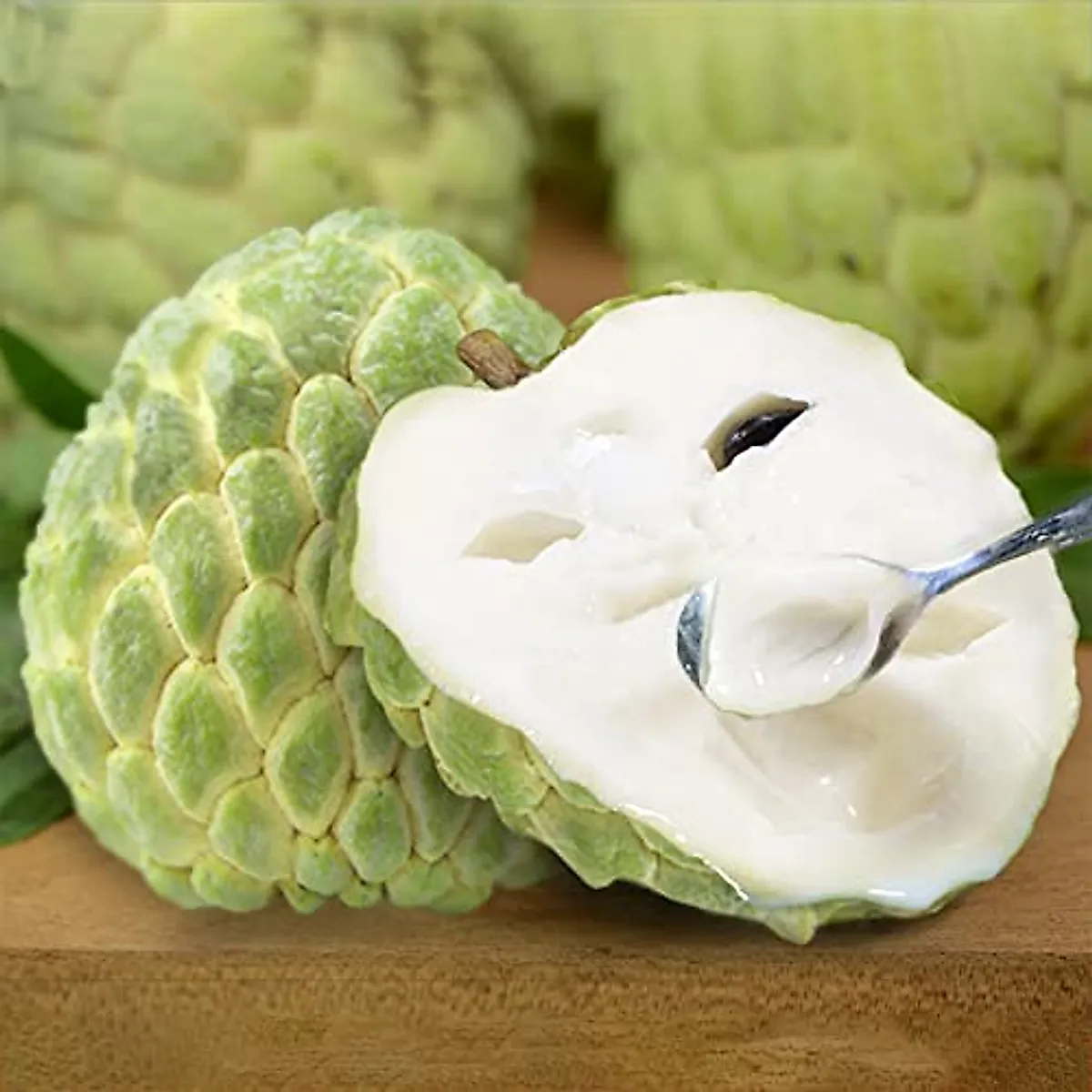 QAUZUY GARDEN Seeds - 20 Premium Custard Apple Buddha's Head Sugar Apple Sitafal Annona Cherimoya Fruit Tree Seeds, Non -GMO, Easy to Grow, Very Fresh Seeds