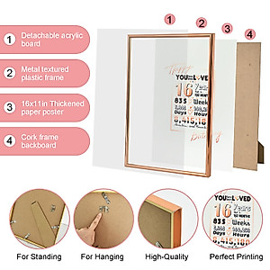 Vuzvuv 12x16 Framed Sweet 16th Birthday Party Decorations for Girl with Pen & Gold Rose Frame, Sweet 16 Party Decorations Signing Board Guest Book, Funny 16th Birthday Gifts for Girl Friend Daughter