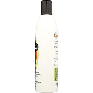 ShiKai Everyday Conditioner, 12-Ounces