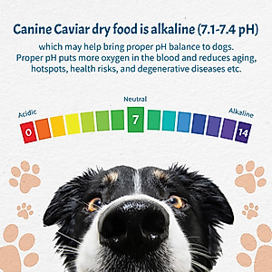 Canine Caviar Special Needs Dog Food – Limited Ingredient Alkaline Holistic Dog Food – Gluten Free, Premium for Older & Sensitive Stomach Dogs – for Skin & Coat – Chicken & Brown Rice – 22 lbs